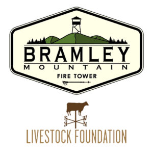 Bramley Mountain Fire Tower – Working to return the fire tower to ...