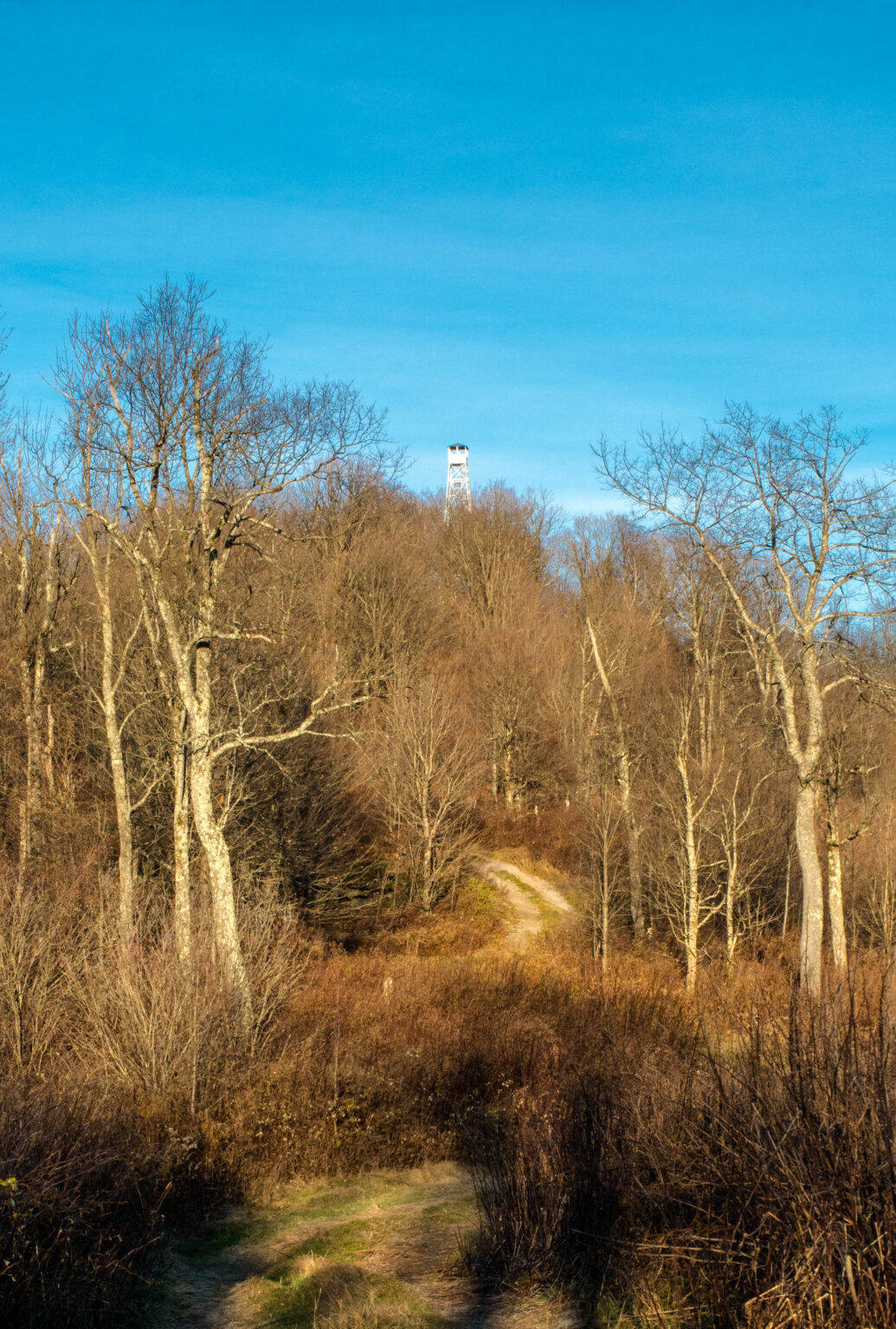 Bramley Mountain Trail – Bramley Mountain Fire Tower