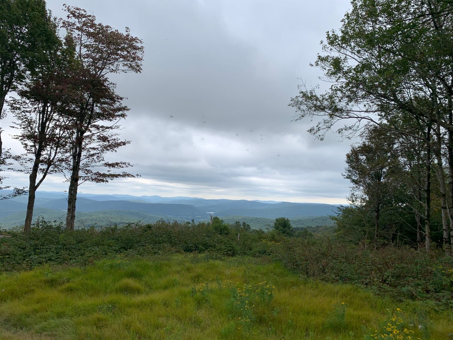 How do you build a fire tower? – Bramley Mountain Fire Tower