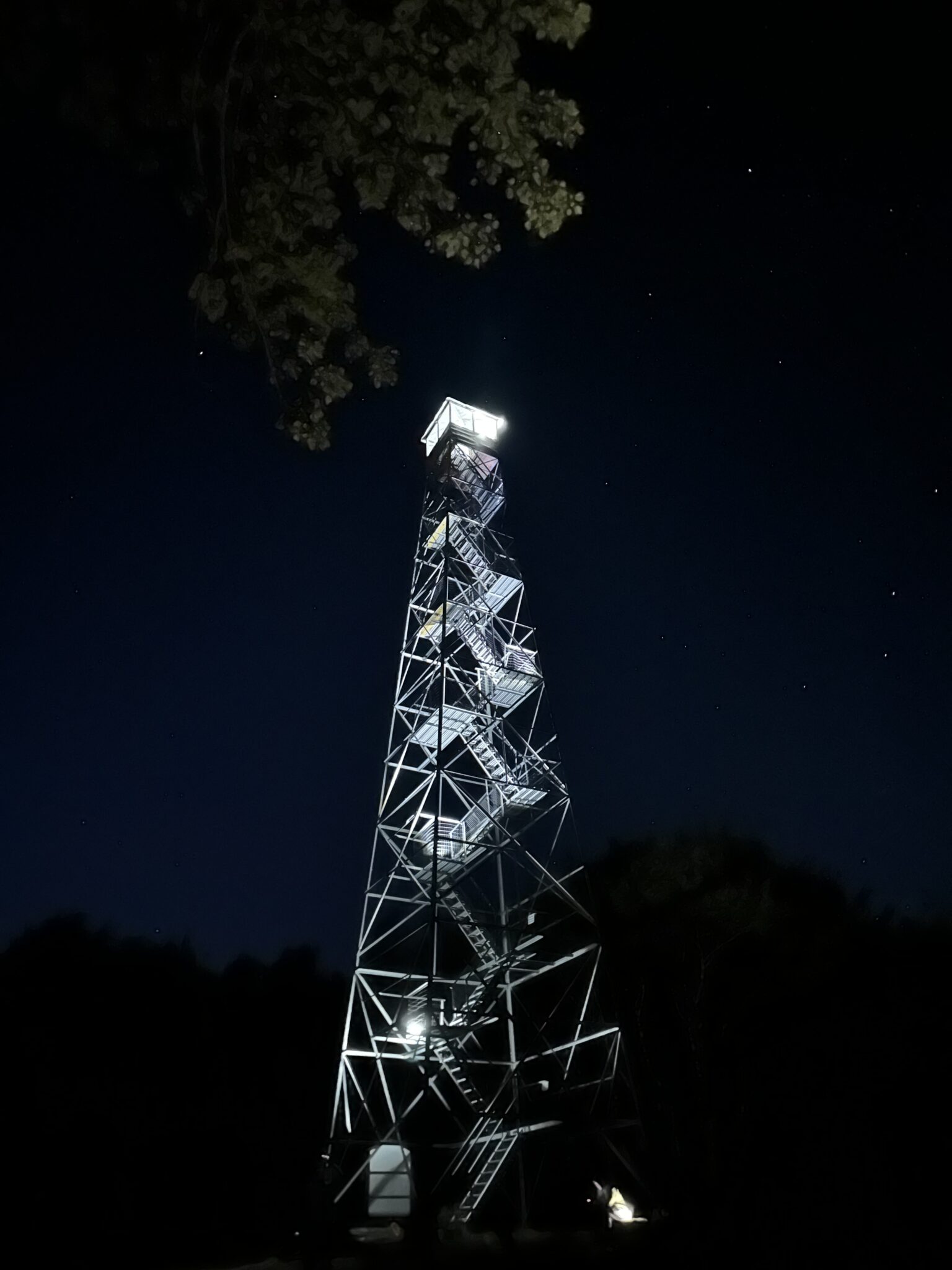 Bramley Mountain Fire Tower – The fire tower returns to Bramley ...